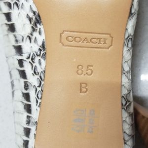 Coach | Shoes | Coach Nala Womens Snakeskin Heels Size 85b | Poshmark